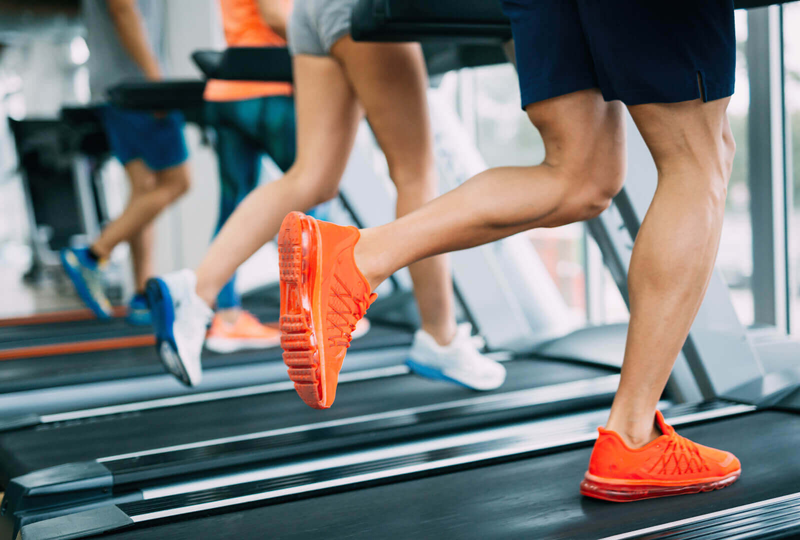 Training Plan - Kingdom Gym